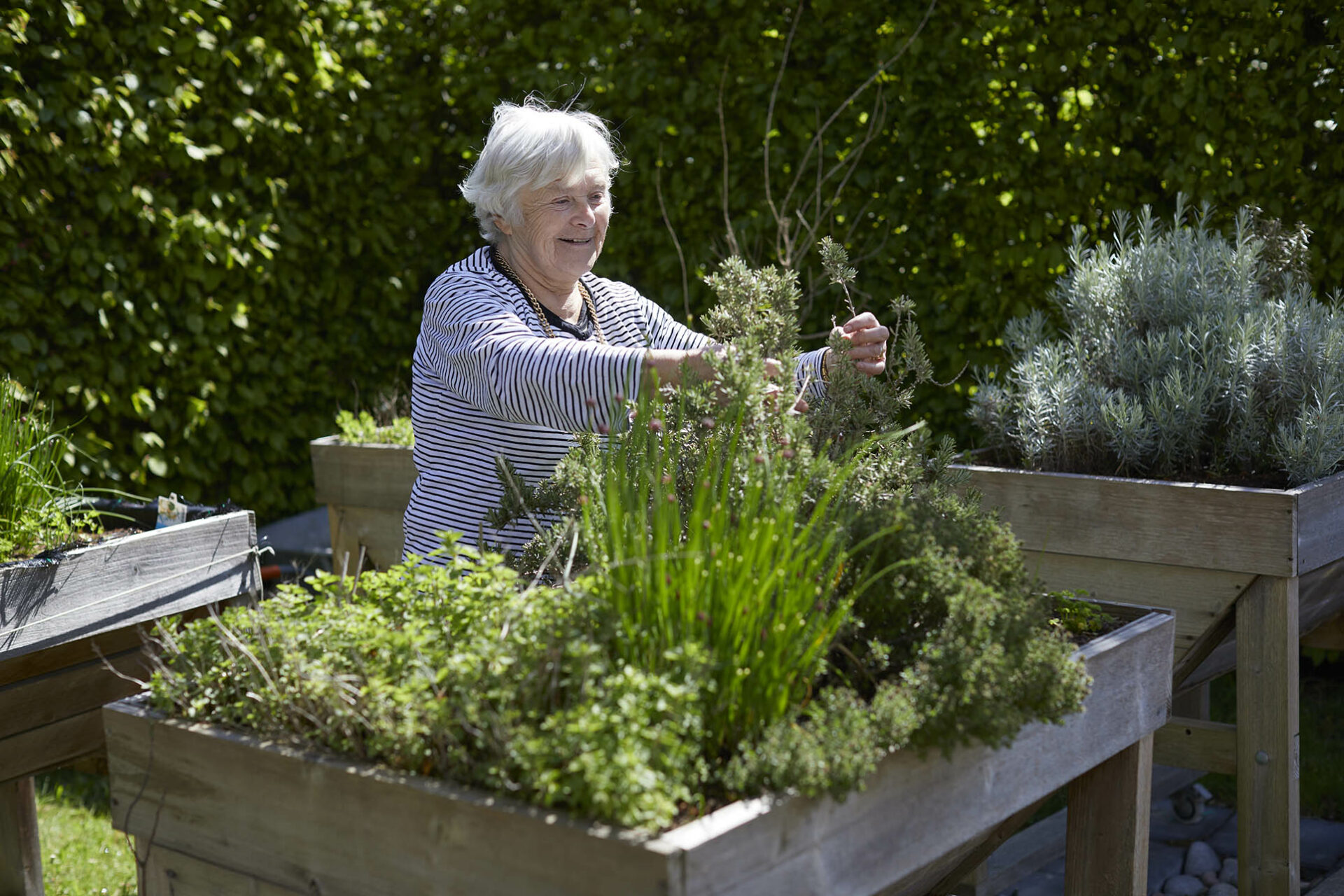 Woonzorgcentrum Zevenbronnen • woonzorgcentrum (rusthuis) in LANDEN ...