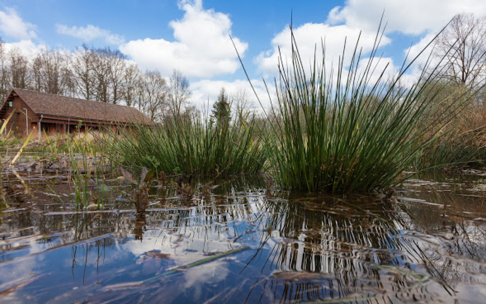 WZC Coham • woonzorgcentrum (rusthuis) in Ham • Woonzorgweb